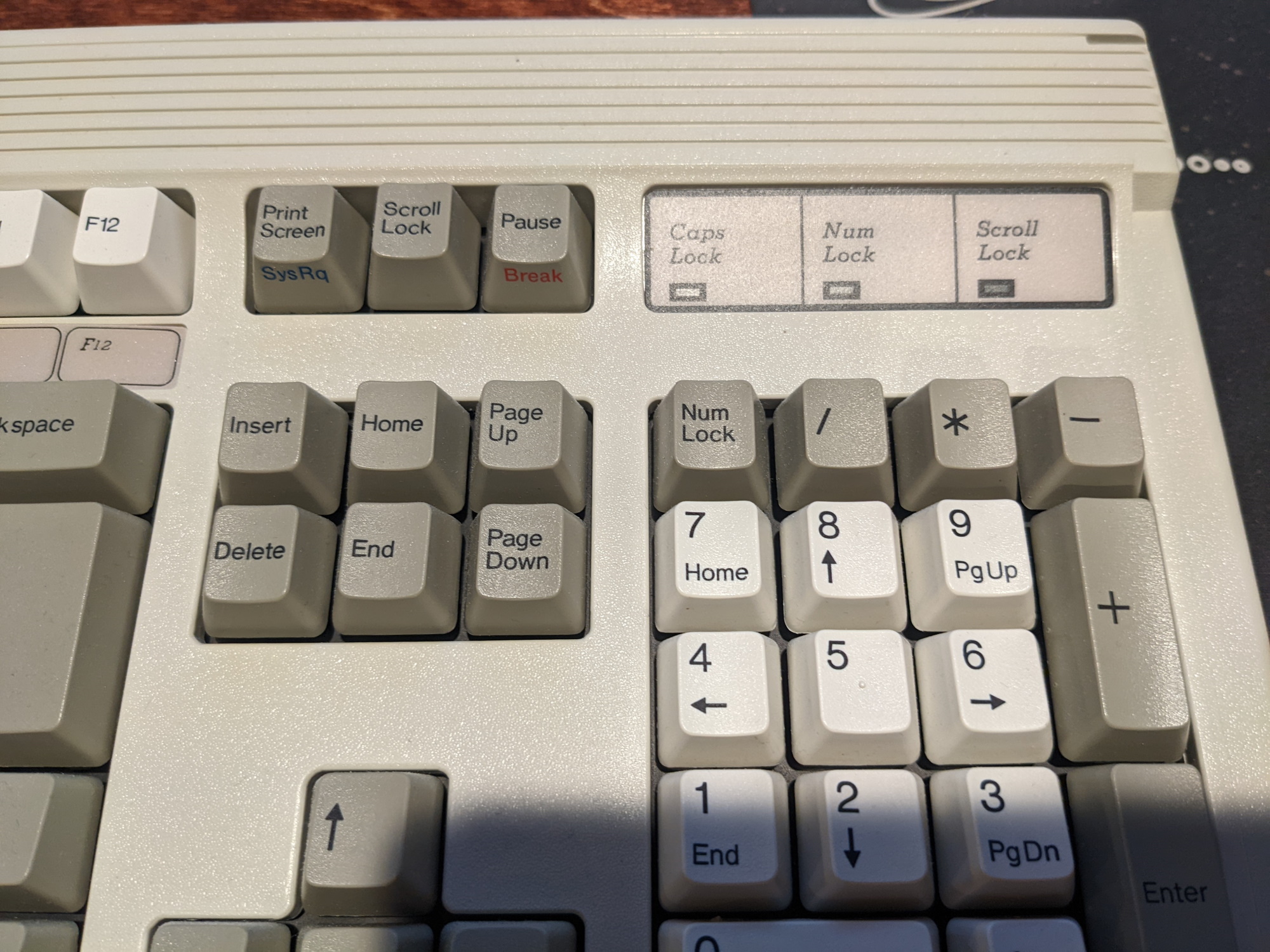 I thrifted an unbranded keyboard today and the switches appear to be ...